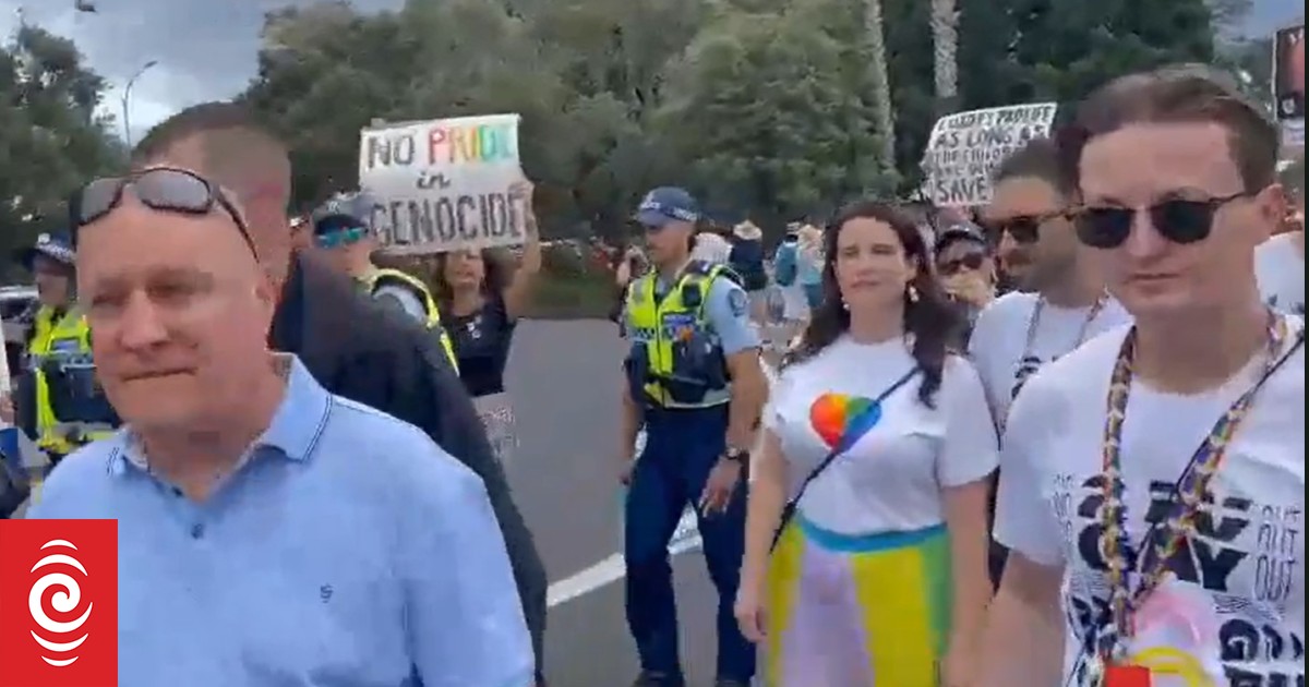 Christopher Luxon leaves Big Gay Out after heated protest | RNZ News