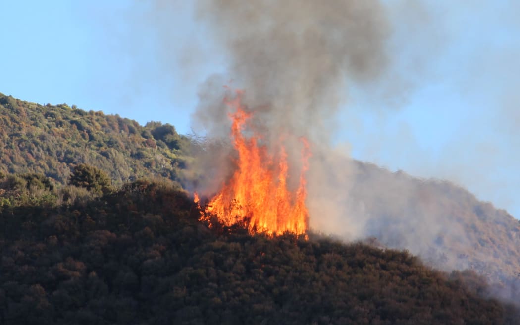 Scrub fire in Marlborough called suspicious | RNZ News
