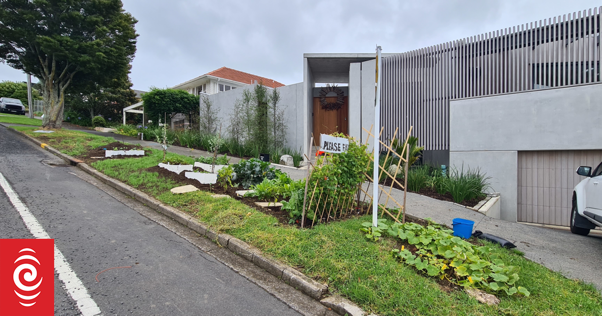 Call for consistency on berm gardens enforcement | RNZ News