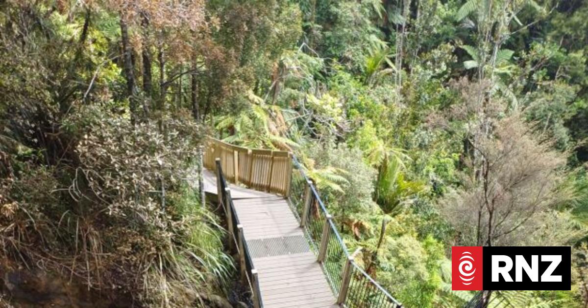 Popular Auckland waterfall track to partially re-open following fire ...