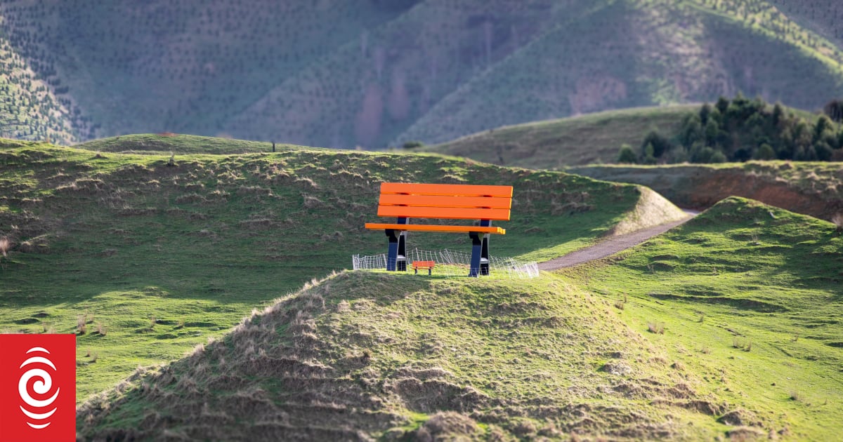 How you can soon get a closer look at Gareth Morgan's giant ...