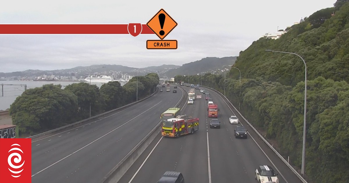 Bus blocks highway after medical emergency in Wellington | RNZ News