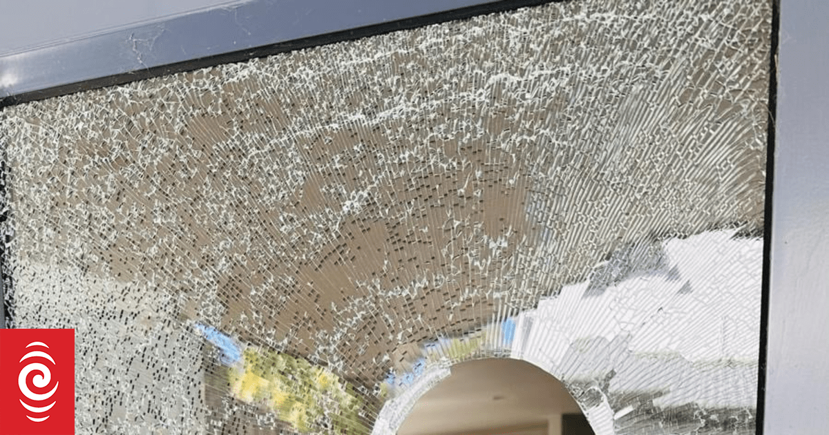 Woman pleads not guilty to throwing rocks through Grey Lynn windows ...