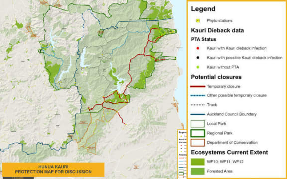 Kauri dieback maps | A Gallery from Nine To Noon | RNZ National