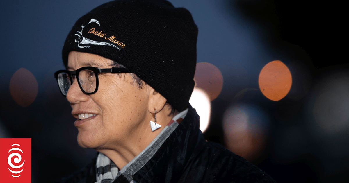 National hikoi reaches Bastion Point | RNZ