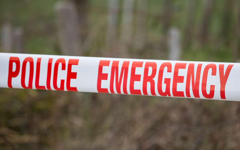 Man shot dead by police had machete | RNZ