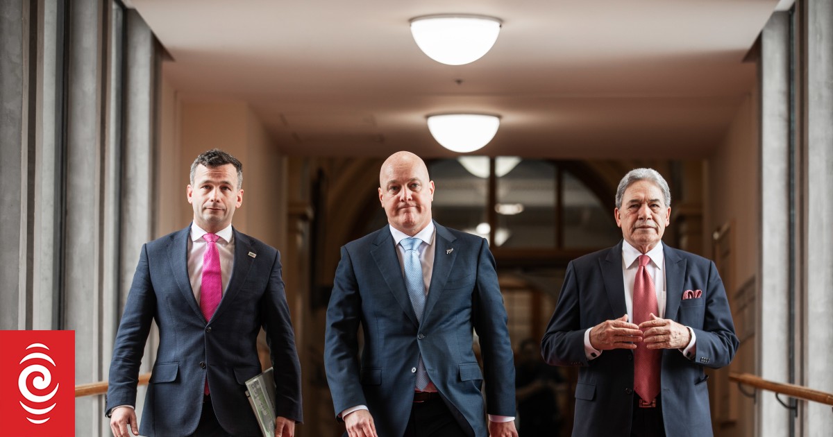 Treaty Principles Bill: What you need to know | RNZ News