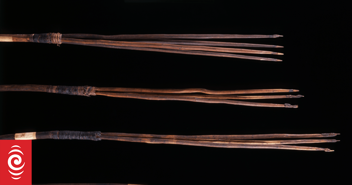 Spears taken by Captain Cook returned to Indigenous community | RNZ News