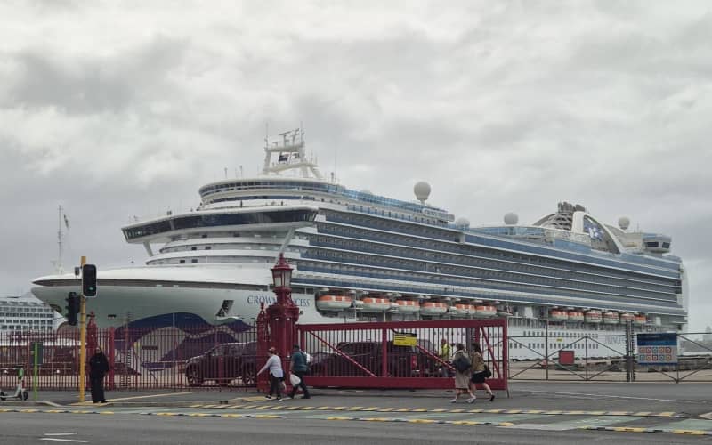 First of 80 cruise ships this season drops anchor in Auckland | RNZ