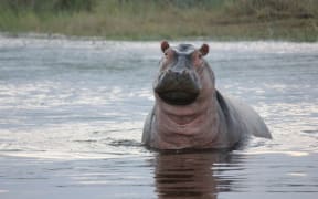 First Up for Thursday 18 May 2023 First Up | RNZ