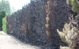 Rolleston fire | A Gallery from News | RNZ