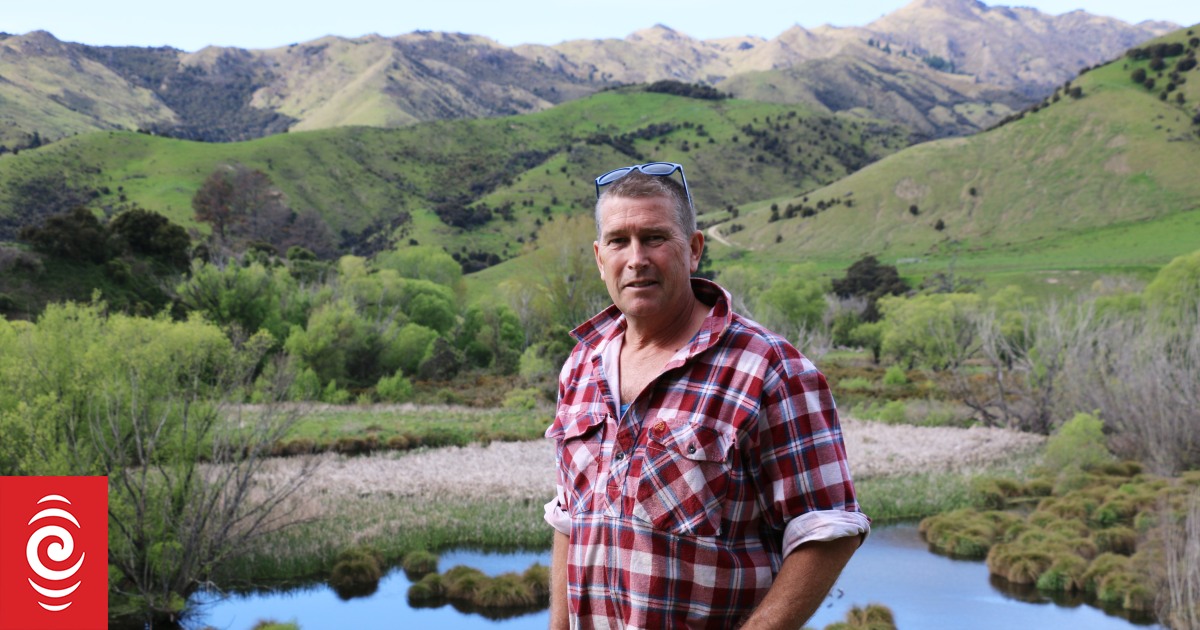 Rugged farmland reverting back to bush | RNZ