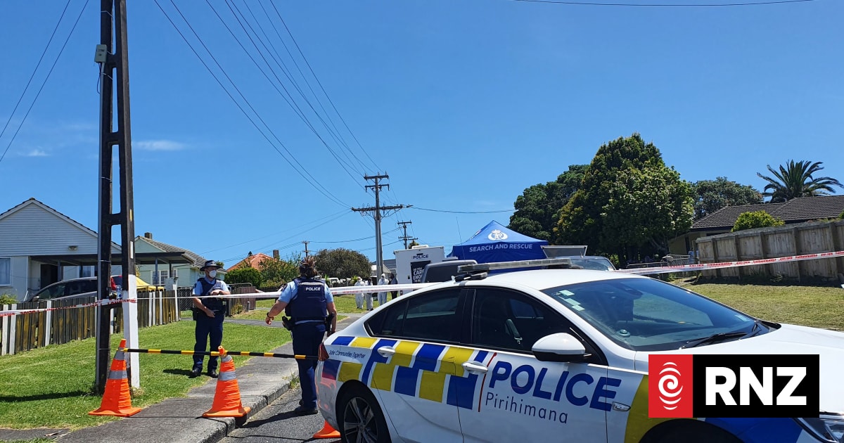 Auckland mayor raises gun violence issue with police minister | RNZ