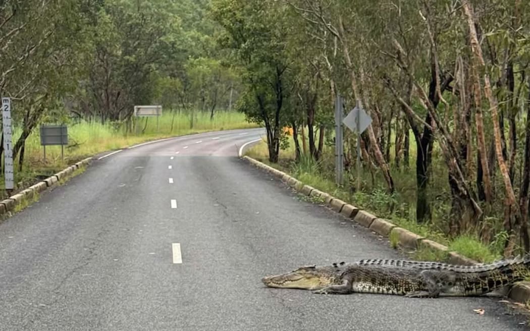 Crocodiles found 'galloping' over roads, lurking near homes amid ...