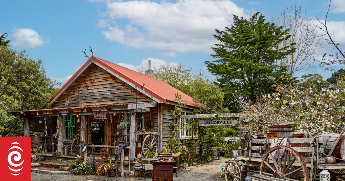 Iconic 50's memorabilia, property for sale | RNZ