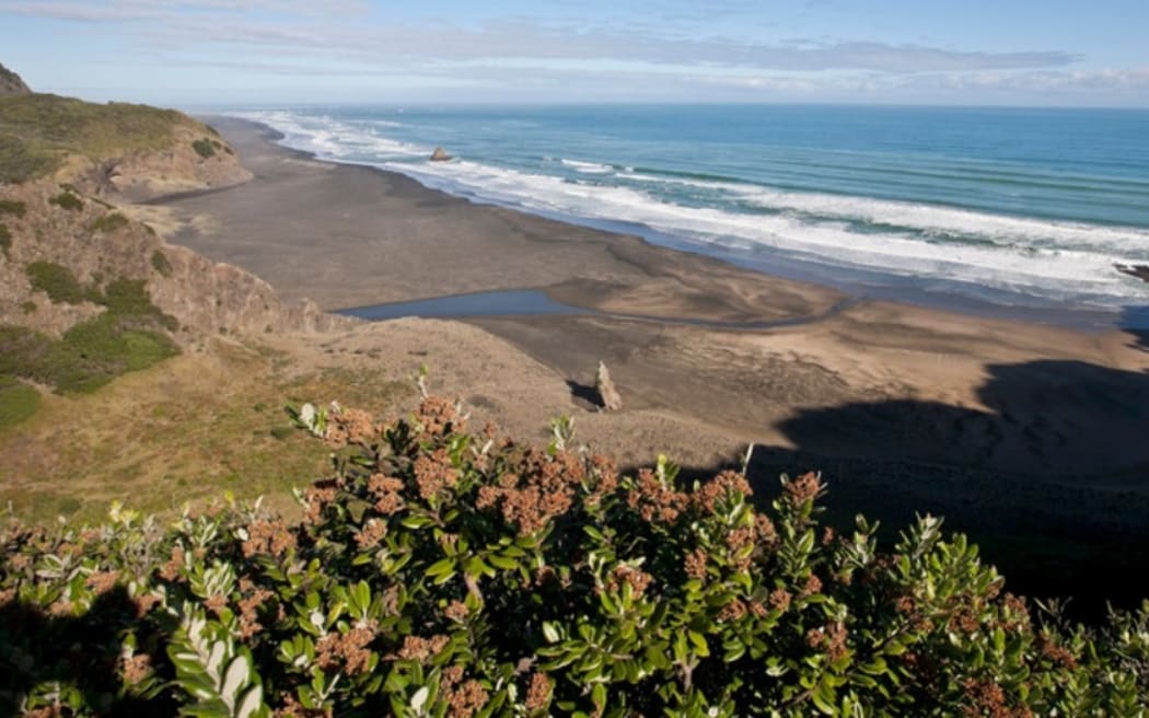 Search on for fisherman swept away near Piha | RNZ News
