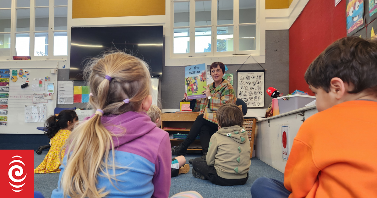 Literacy experts say no problem with Māori words in book for learner ...