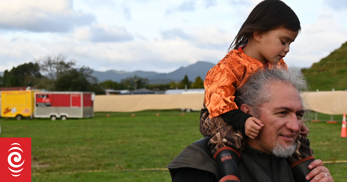 Te Mātāwai head Poia Rewi steps down from role | RNZ News