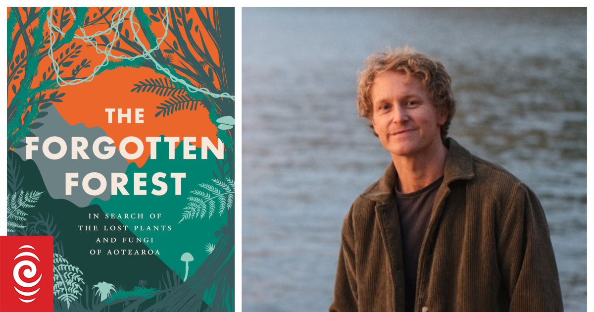 Our fascinating, yet forgotten forest | RNZ