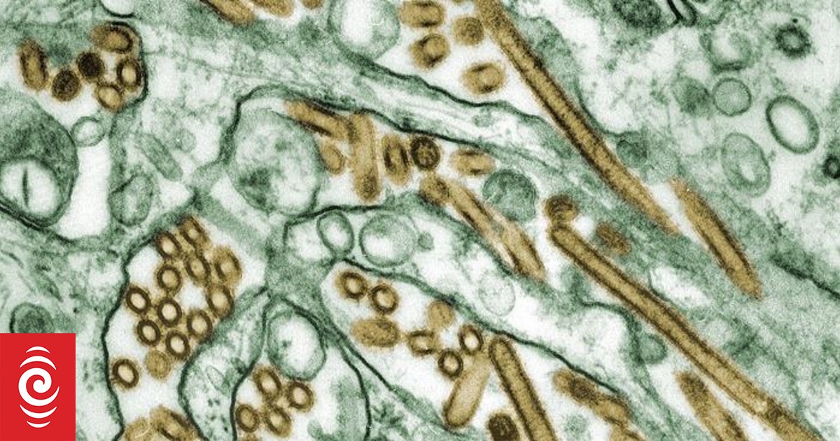 Rural News Wrap | RNZ