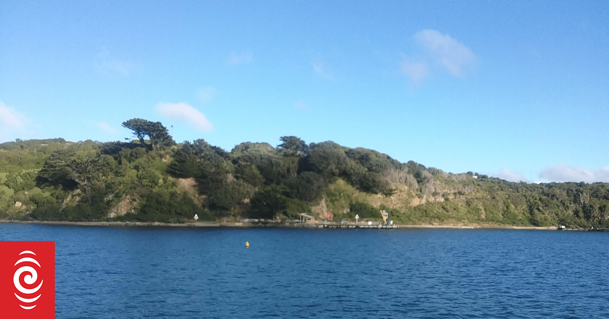 'Magic spot': Matiu/Somes Island to reopen after long closure | RNZ News