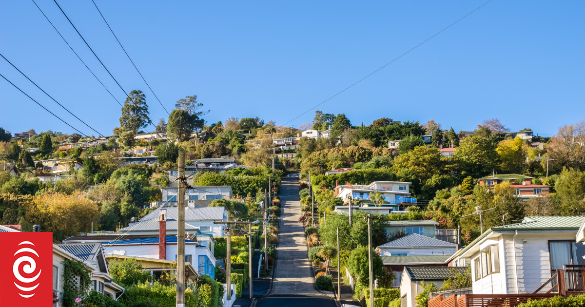 The Pre-Panel with Sue Bradford and Ben Thomas | RNZ
