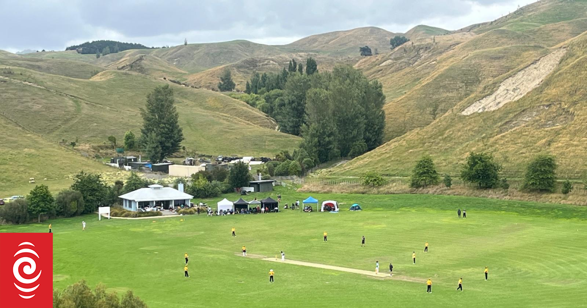 Moment of Calm: Field of Dreams | RNZ