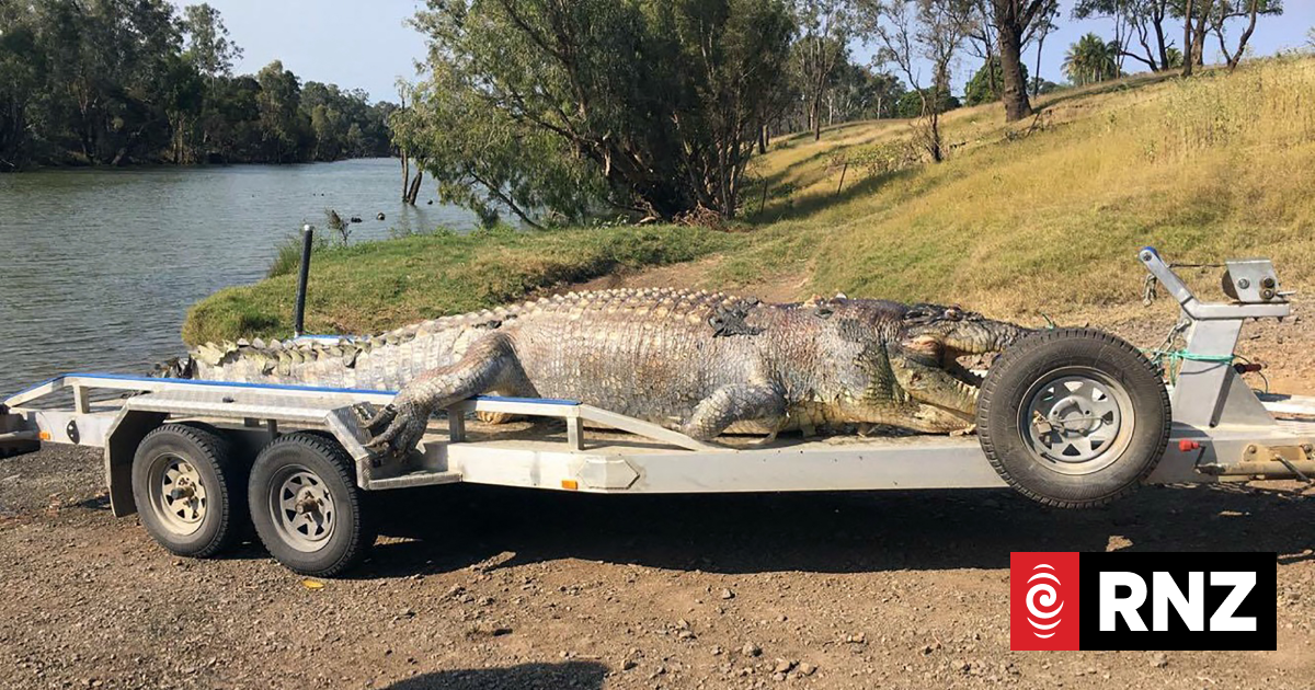 2032 Olympic Games organisers not weighing alternatives to crocodile ...