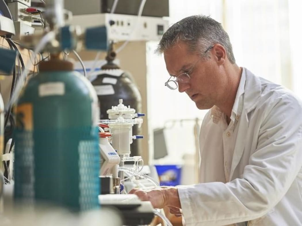 'Artificial womb' offers hope for premature babies | RNZ