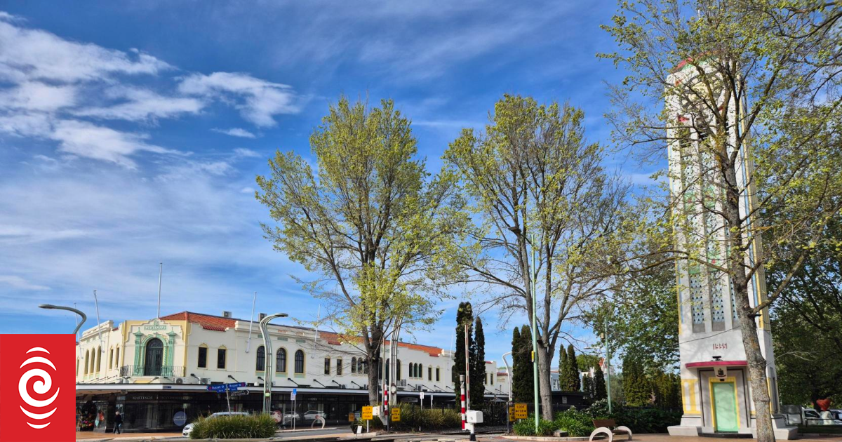 Five newcomers vie for Hastings mayoralty | RNZ News