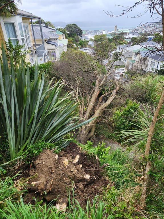 Seven metre swells possible as severe weather to hit Wellington | RNZ News