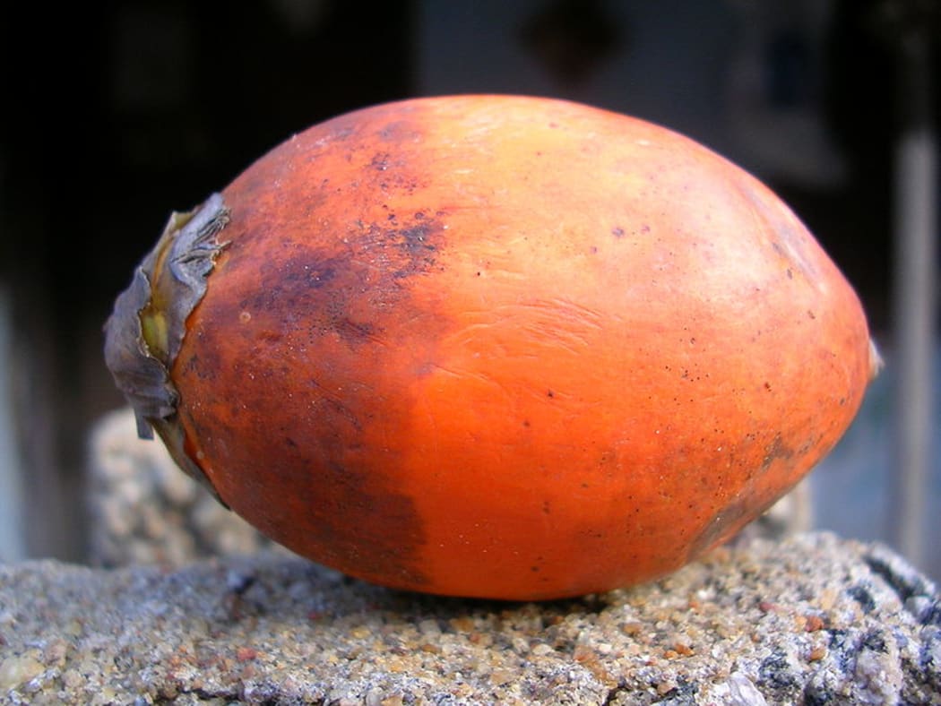 New research into ways to stop Betel nut chewing | RNZ News