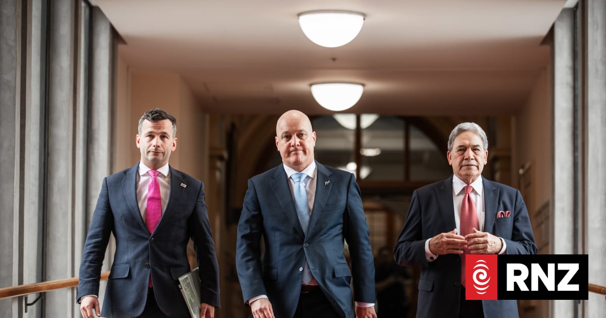 Two-thirds of voters support capital gains tax 'in some form' - poll | RNZ