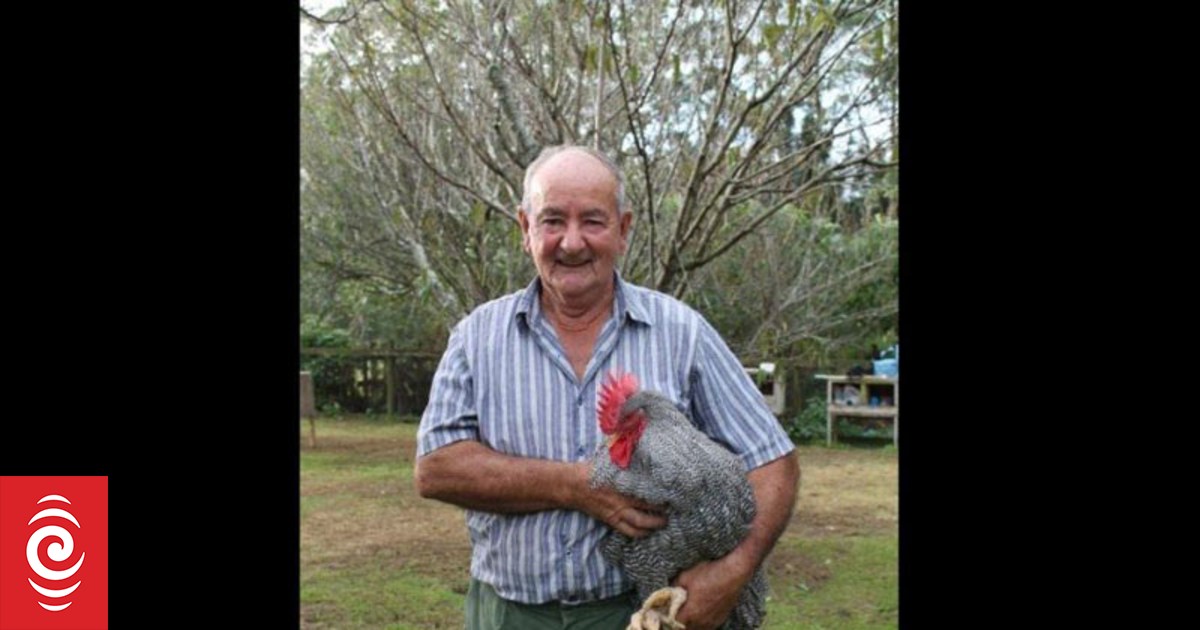 'Like having a baby every day' - Remembering Ken the chicken champion | RNZ
