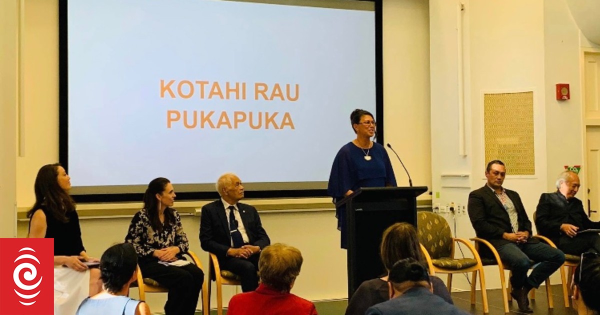 Kotahi rau Pukapuka: Harry Potter translated in Te Reo Māori | RNZ