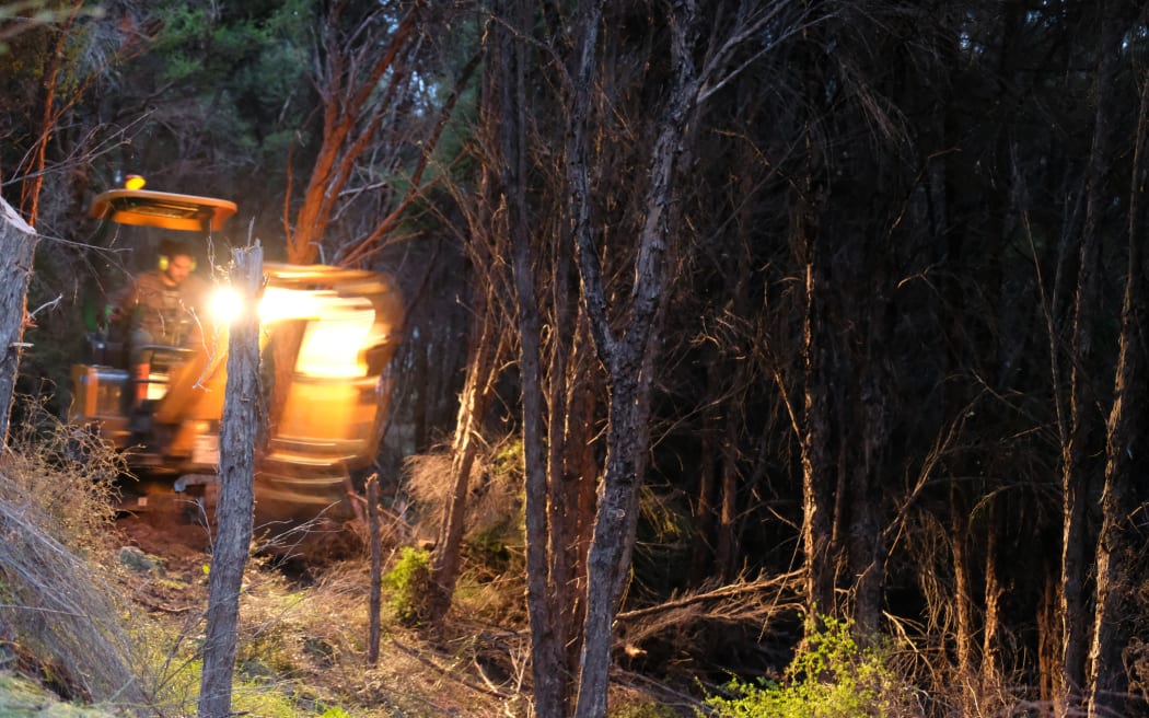 Downhill adventures for diversifying farmers | RNZ