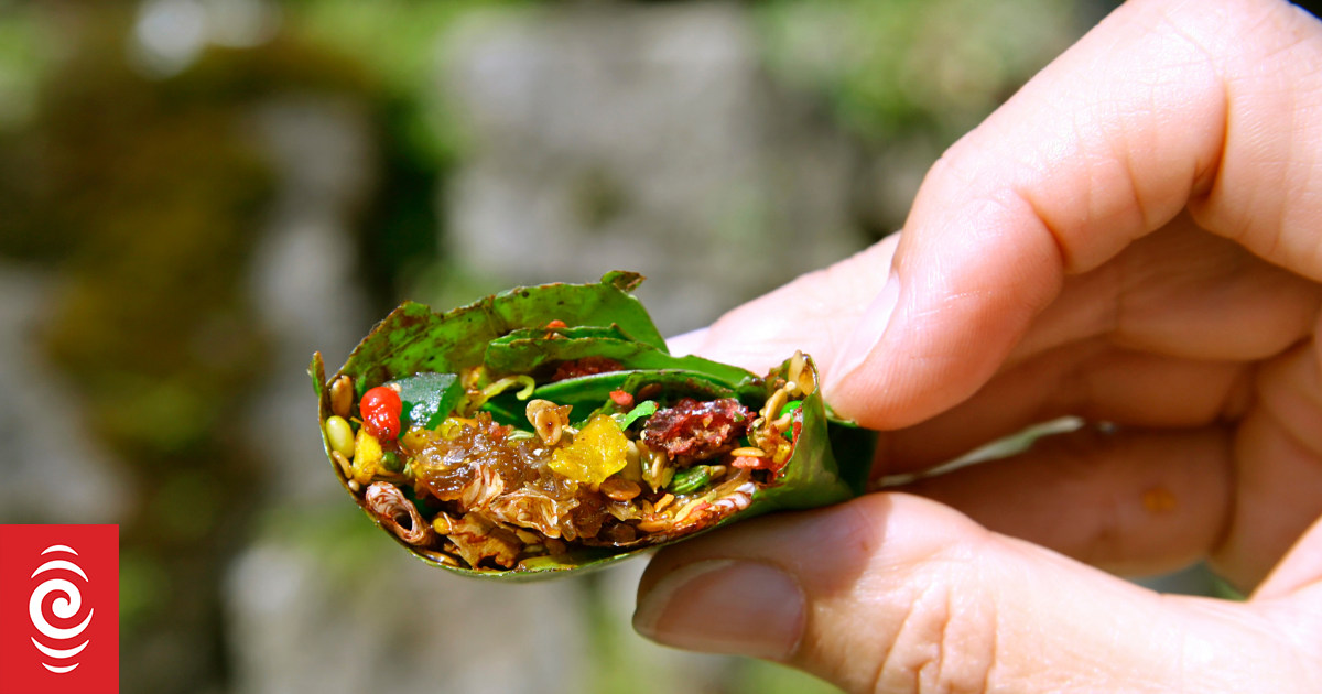 Chewing over the South Asian fascination with paan in New Zealand | RNZ ...