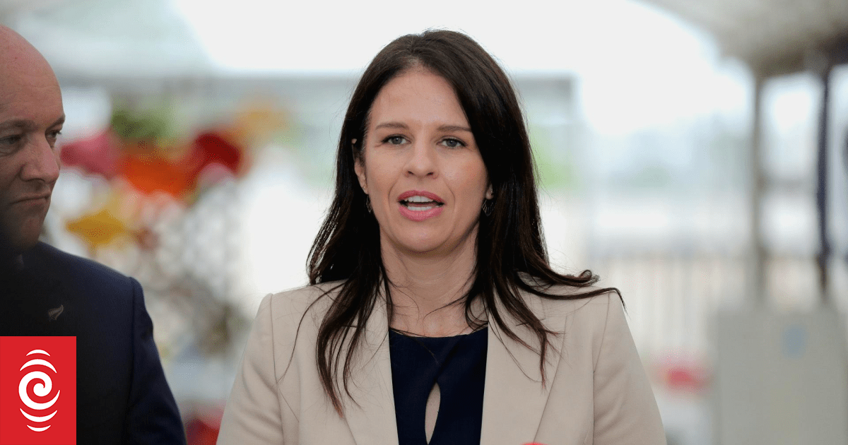 Teacher-only days continue after Seymour oversteps, Education Minister ...