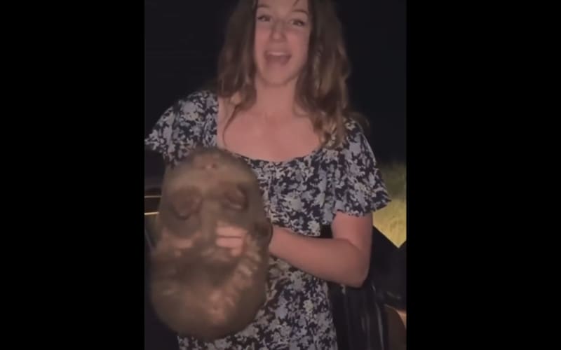 Backlash as US influencer who snatched a baby wombat, posted video has ...