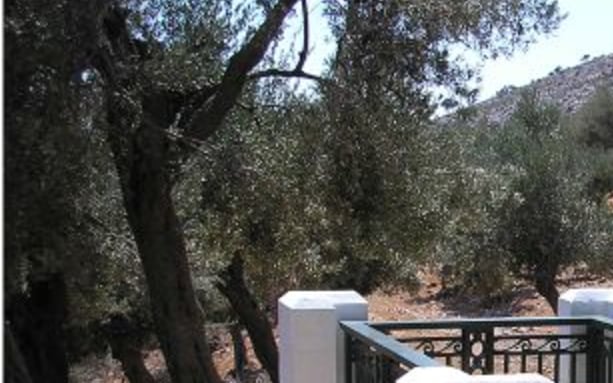 Frederick KELLY: Elegy for Strings, In Memoriam Rupert Brooke | RNZ