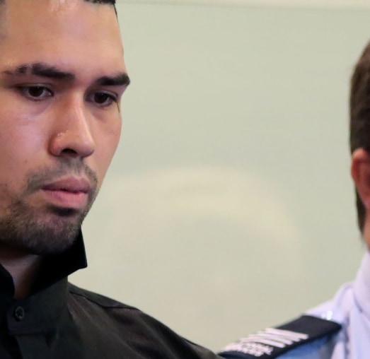 Govt sets terms for Tony Robertson inquiry | RNZ News