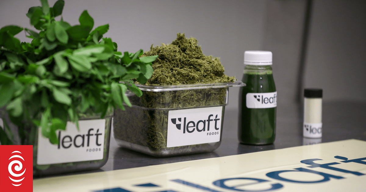 NZ green protein producer sprouts new deal with Asian food giant | RNZ News