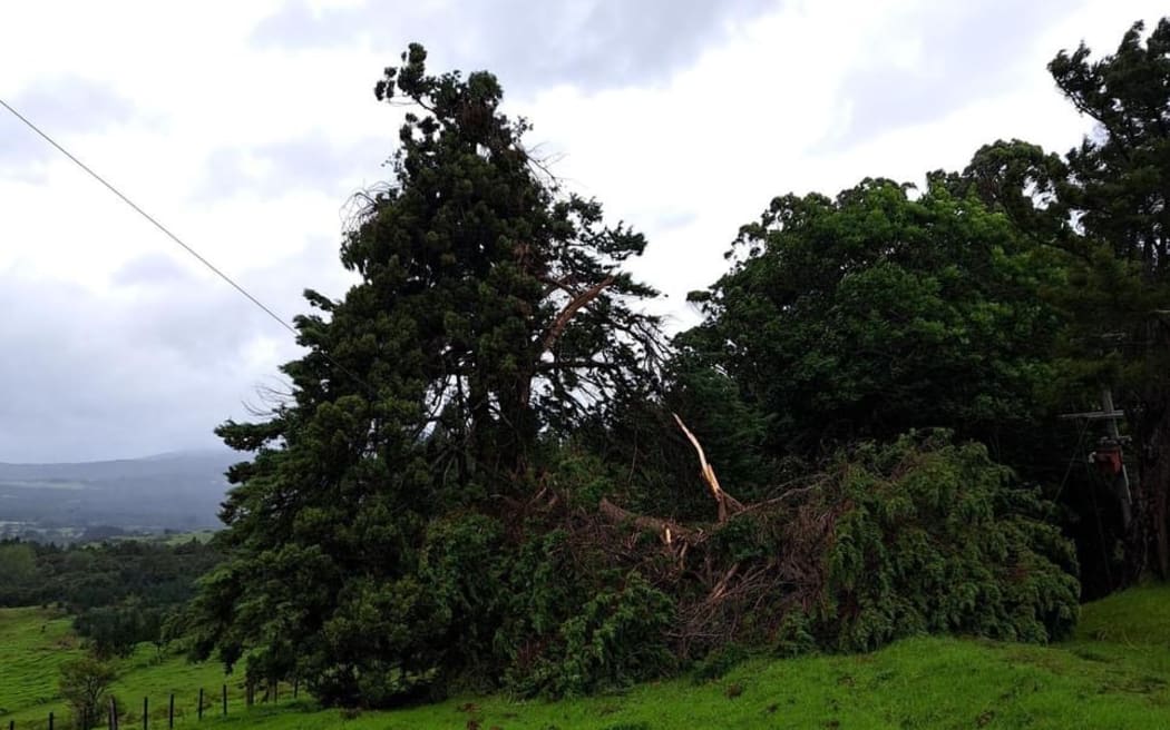 Cyclone Gabrielle in pictures: Flooding and trees downed across ...