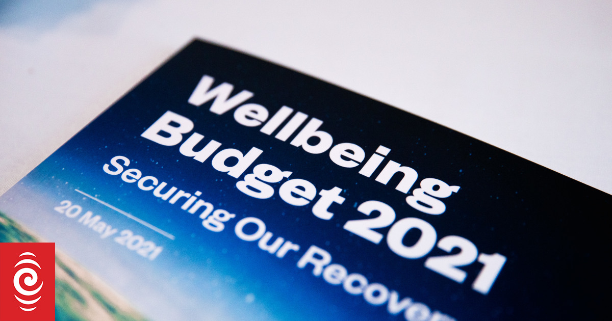 Budget 21 a 'cheugy', living in the past budget - Brigitte Morten | RNZ ...