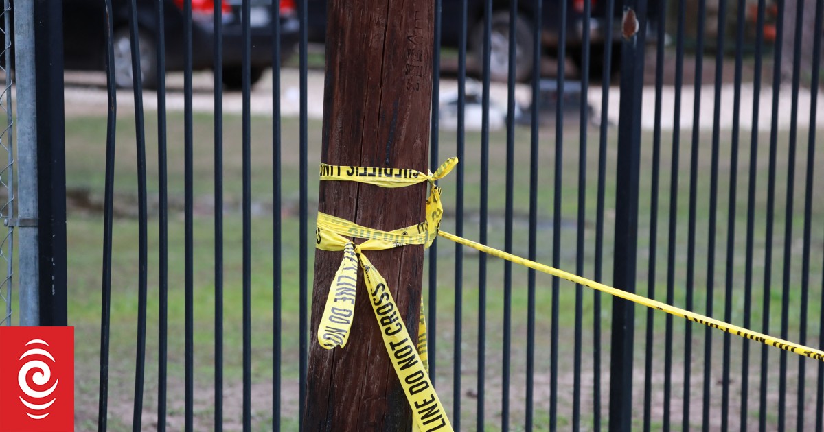 US: Two killed, 28 injured in block party mass shooting | RNZ