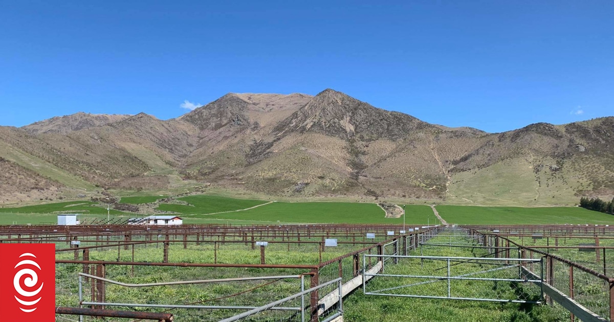 Omarama temperature drops to -10.9C | RNZ