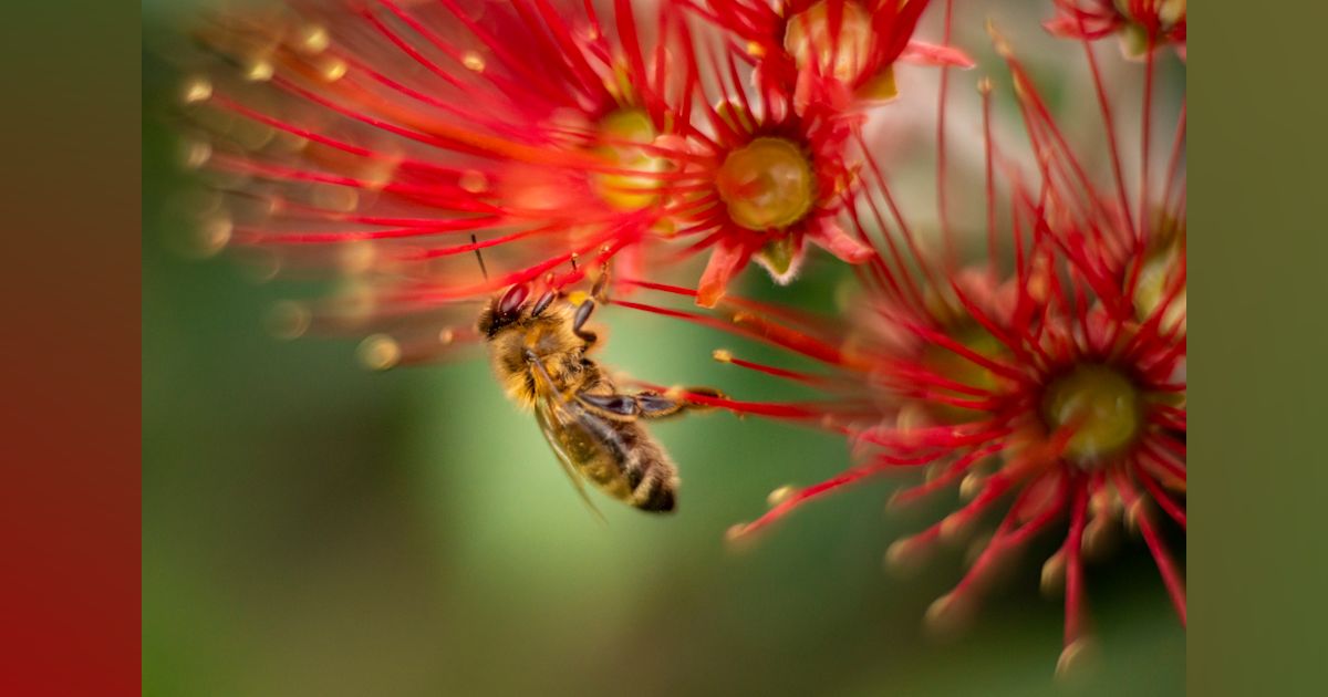 The Best of Nine to Noon 2025 | RNZ