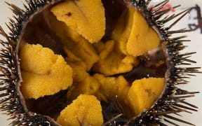 Midday Report for Wednesday 5 July 2023 Midday Report | RNZ