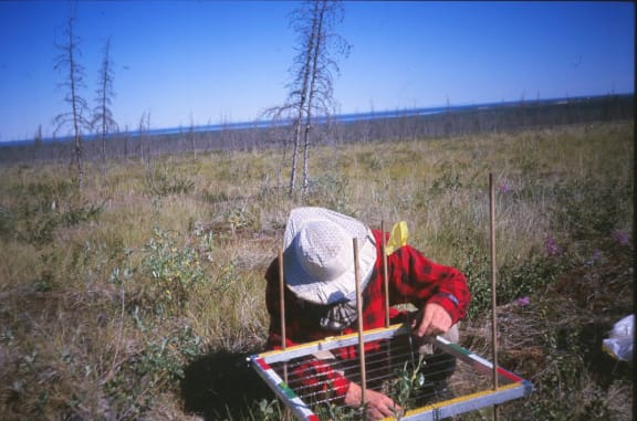 The Siberia Experiment | A Gallery from Nights | RNZ National