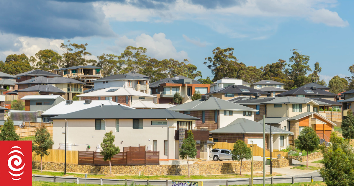 Jordan van den Berg: the renters' Robin Hood | RNZ